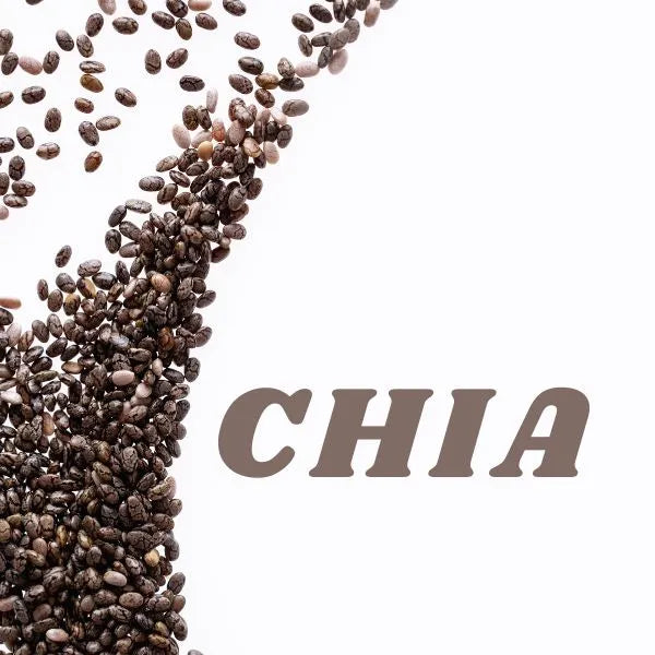 Benefícios da Semente de Chia: "Benefícios da Semente de Chia: Pequena ...