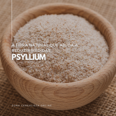 Psyllium: A FIBRA NATURAL que ajuda a reduzir medidas! – Zona ...