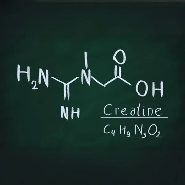 Creatina: "Creatina: Benefícios, Usos e Efeitos na Performance" – Zona ...