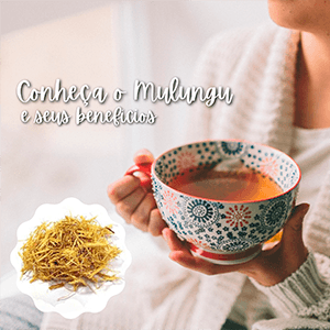 Conheça o Mulungu e seus benefícios – Zona Cerealista Online