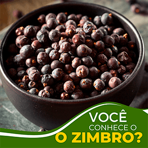 Você conhece o Zimbro? – Zona Cerealista Online